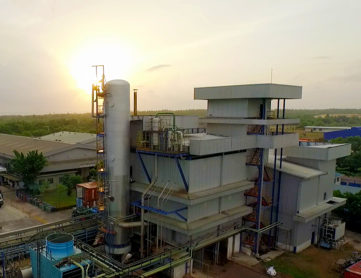 Pyramid Wilmar leading Edible Oil and Specialty Fats – Pyramid Wilmar