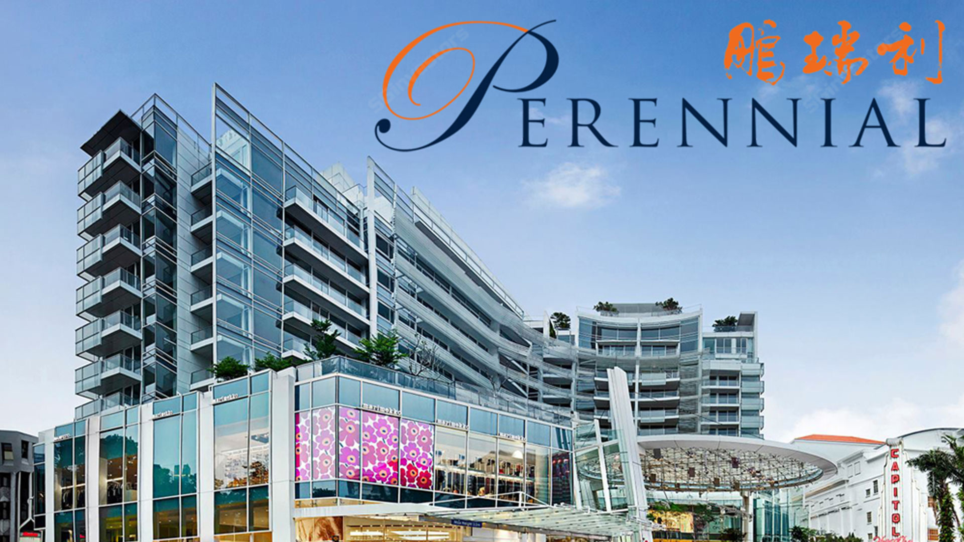 Our Businesses – Pyramid Wilmar leading Edible Oil and Specialty Fats