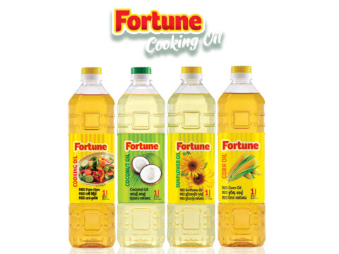 04 – Fortune Soya Meat – Pyramid Wilmar leading Edible Oil and ...